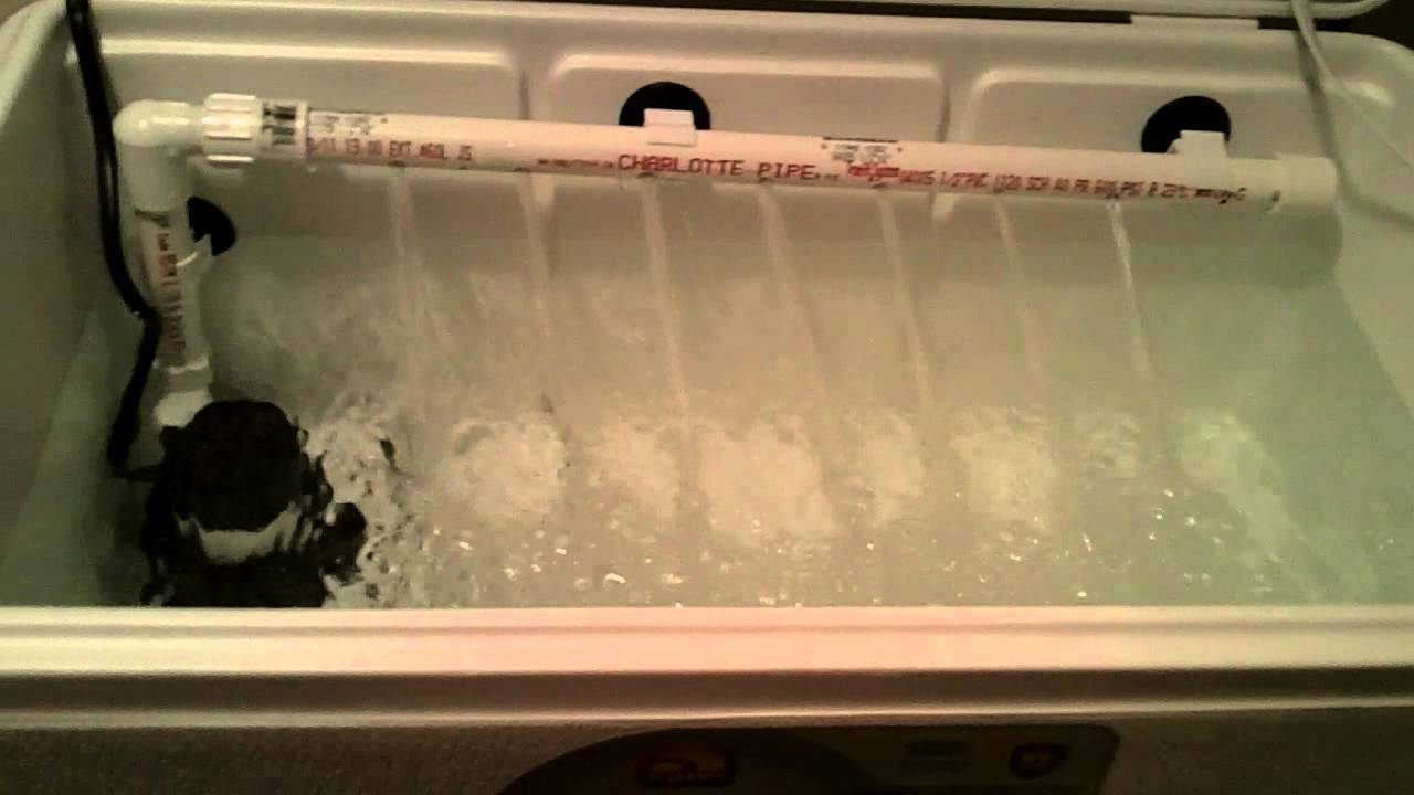 Cooler Livewell Youtube
