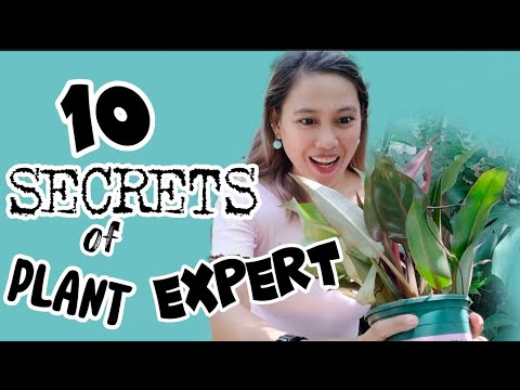10 Plant Experts Do Youtube