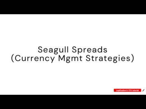 Seagull Spread Cfa Level 3 Tutorial Youtube