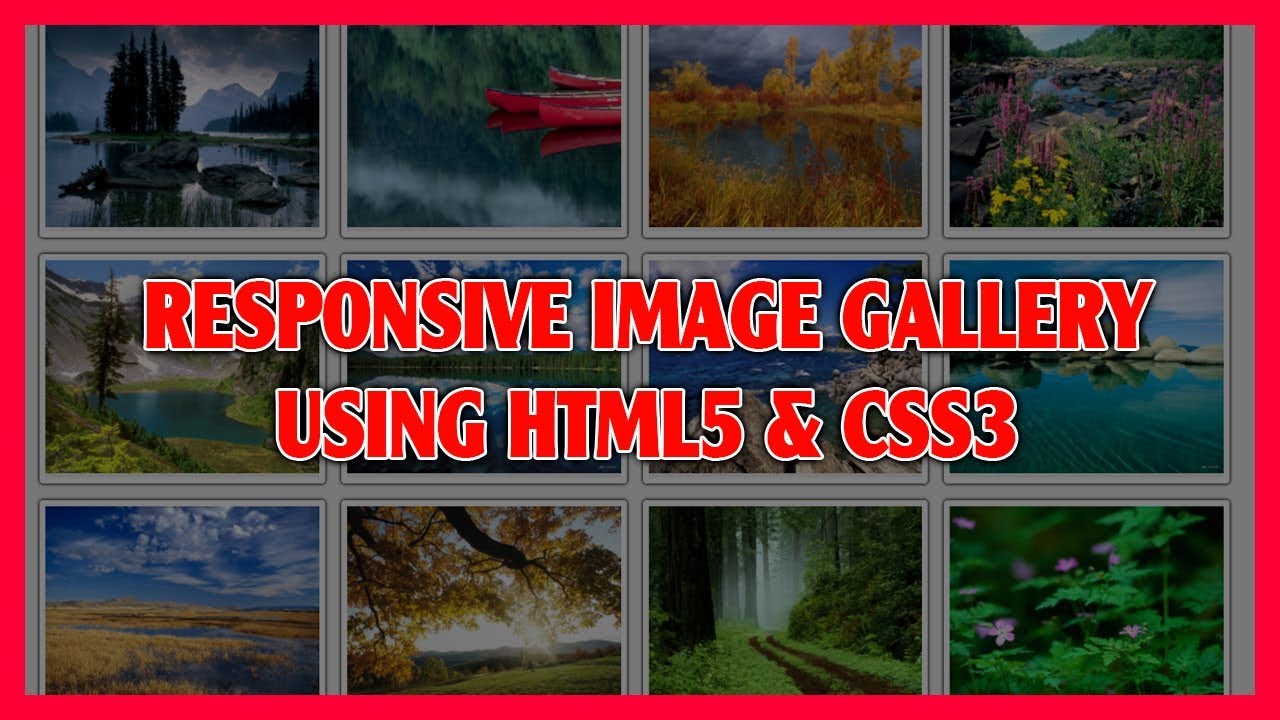 Responsive Image Gallery Using Html5 Css3 Pure Css3 Image Gallery