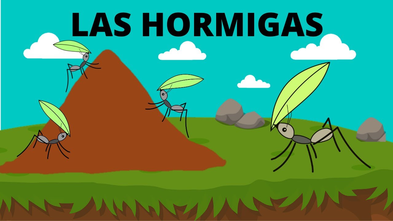Las Hormigas Para Niños Todo Sobre Las Hormigas Las Hormigas En