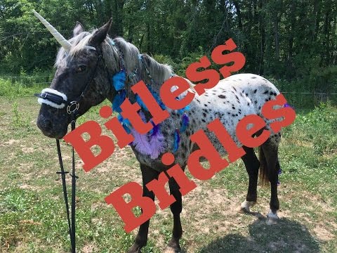 Bitlessbridles Youtube