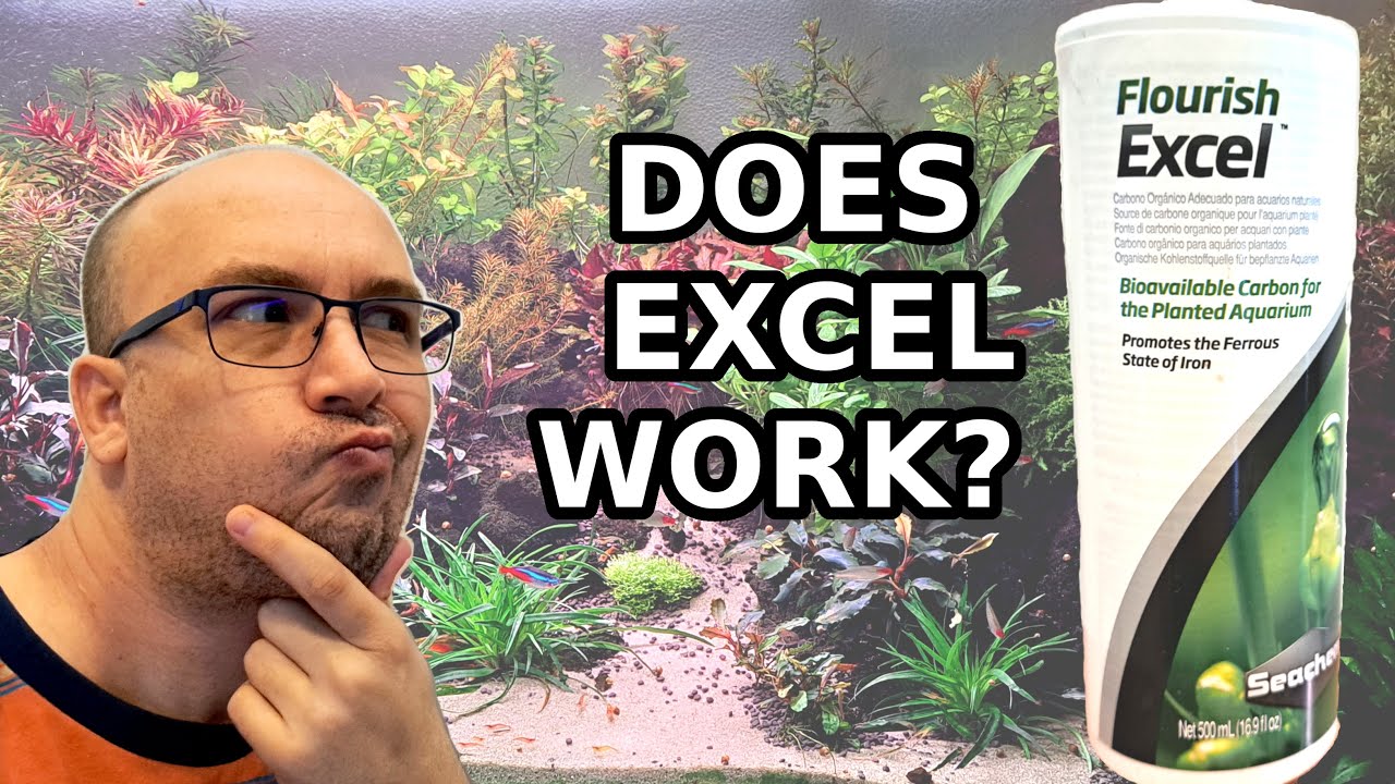 Does Dosing Seachem Excel Daily Kill Algae Youtube
