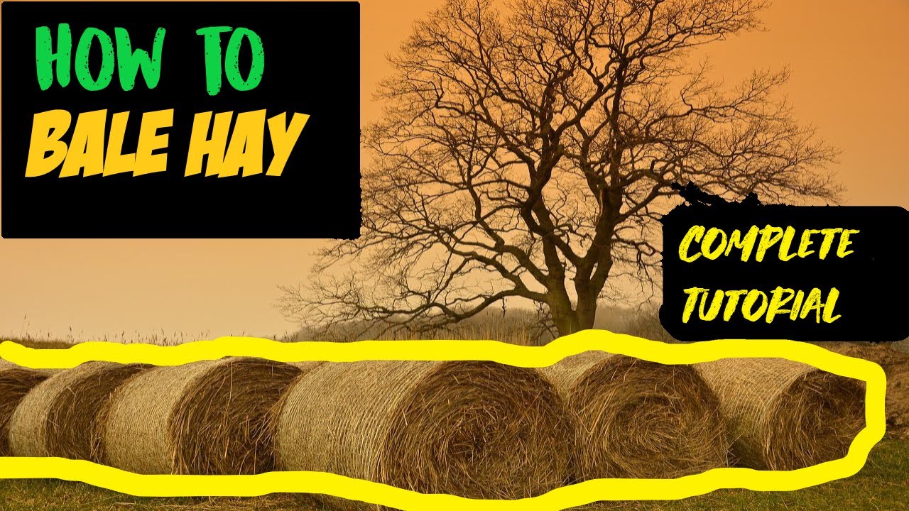 How To Bale Hay The Complete Beginners Guide Youtube