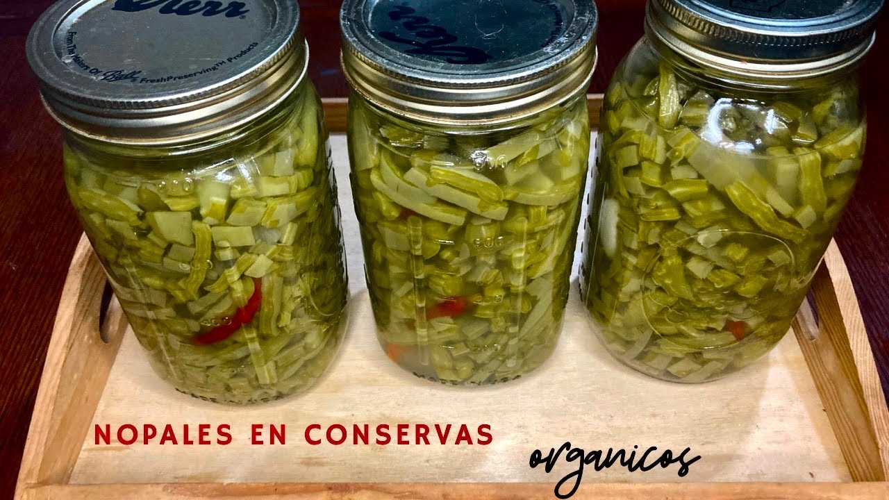 Receta Facil Conservas De Nopales Youtube