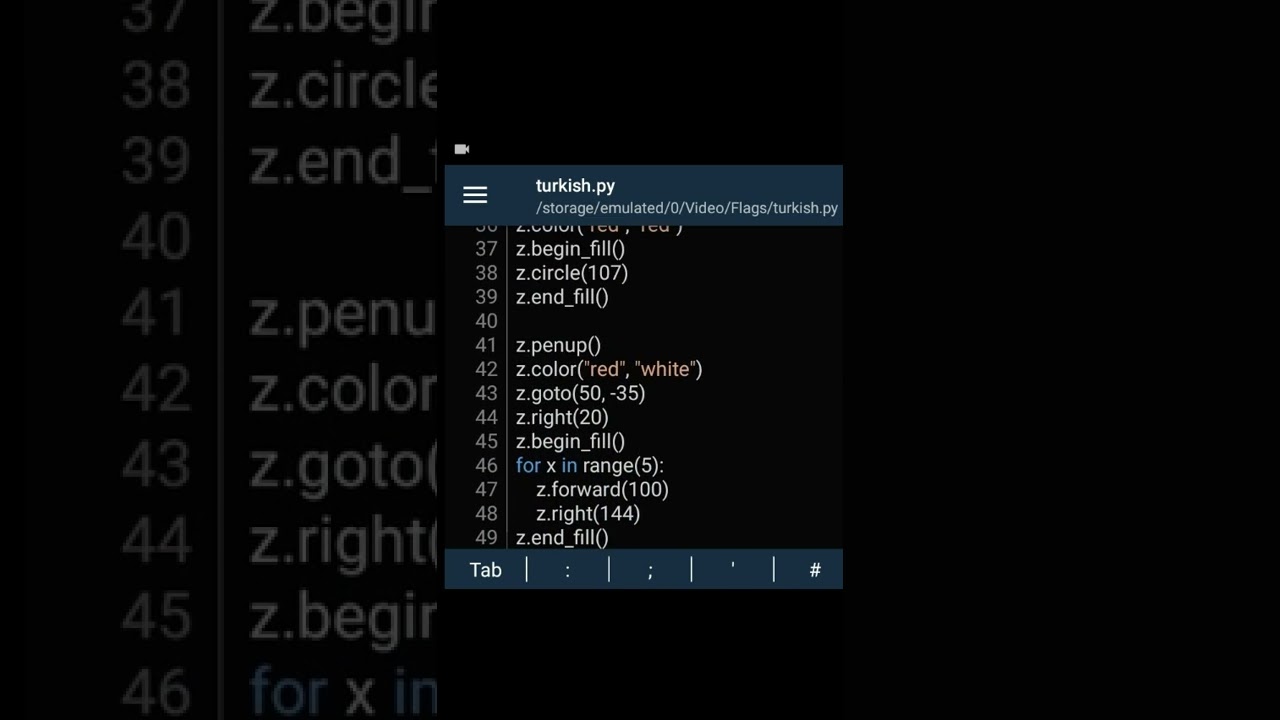 Drawing Turkish Flag With Python Turtle Youtube