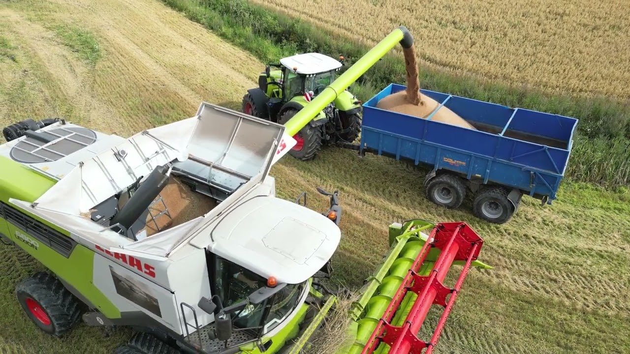 Puintia 2022 Youtube