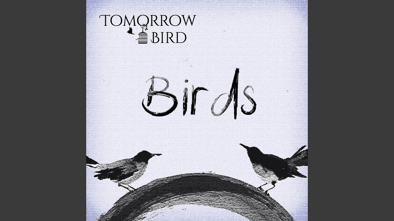 Birds Acoustic Cover Youtube Music