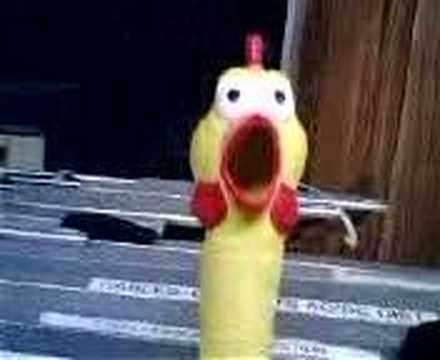 Original Screaming Chicken Youtube