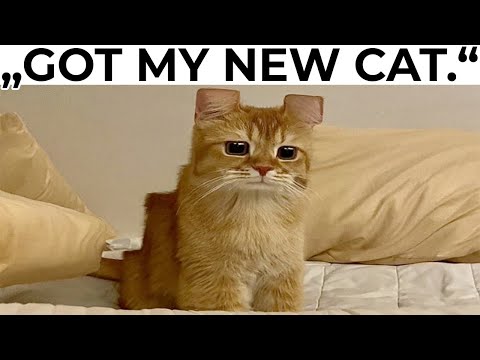 Minecraft Memes 95 Youtube