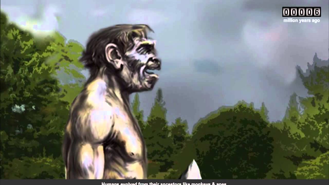 Human Evolution Youtube