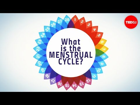 How Menstruation Works Emma Bryce Ted Ed