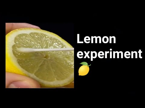 Lemon Experiment ёянл Youtube