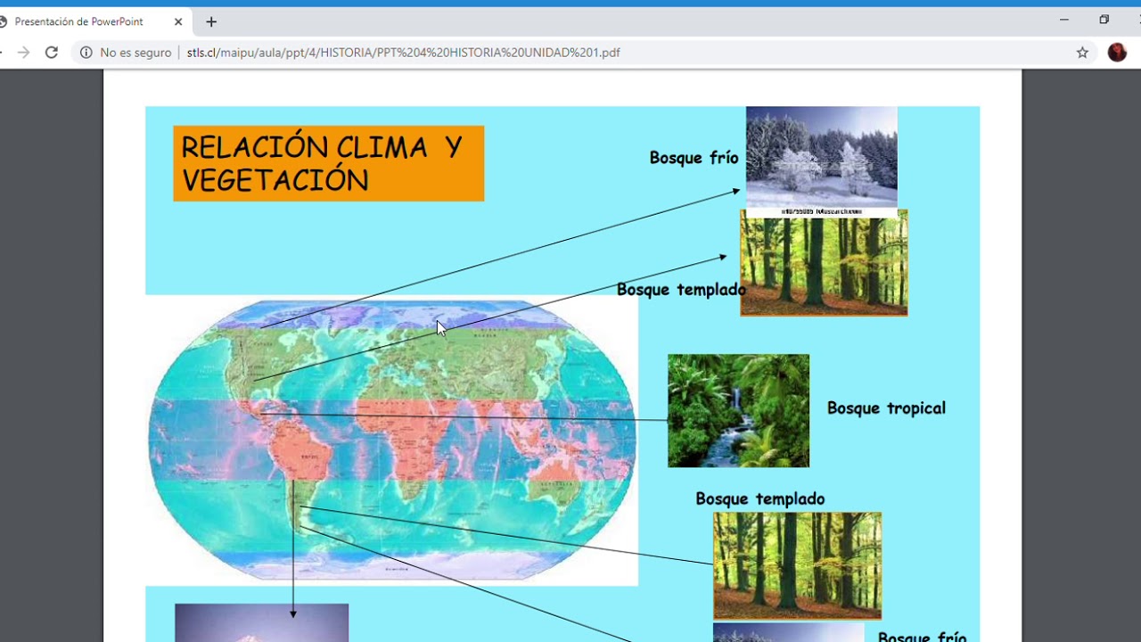 Clima Y Vegetación Cápsula Cuarto Básico Youtube