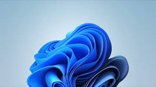 Windows 11 Startup Bloom Animation But I Want This On Pc Startup ...