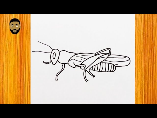 Ivory The Stick Bug By Aymanedrawings On Deviantart 47 Off