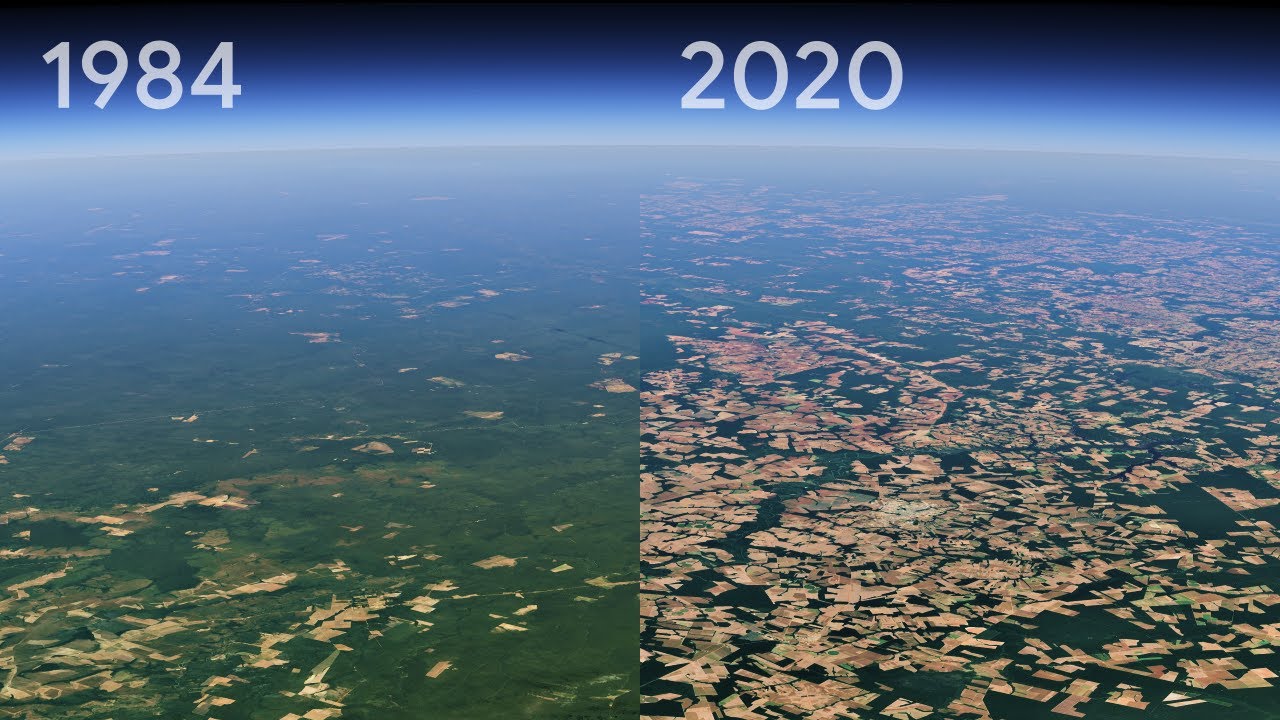 Our Forests Timelapse In Google Earth Youtube