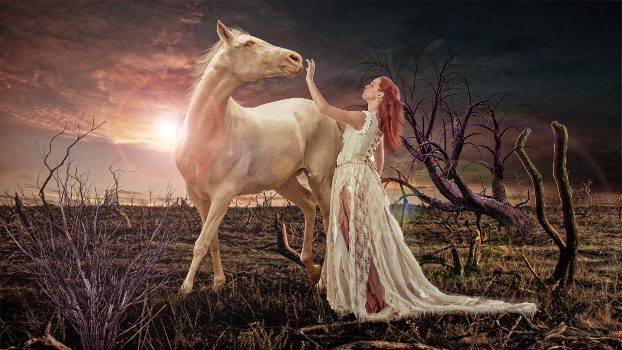 Paint Horse Manipulation 00