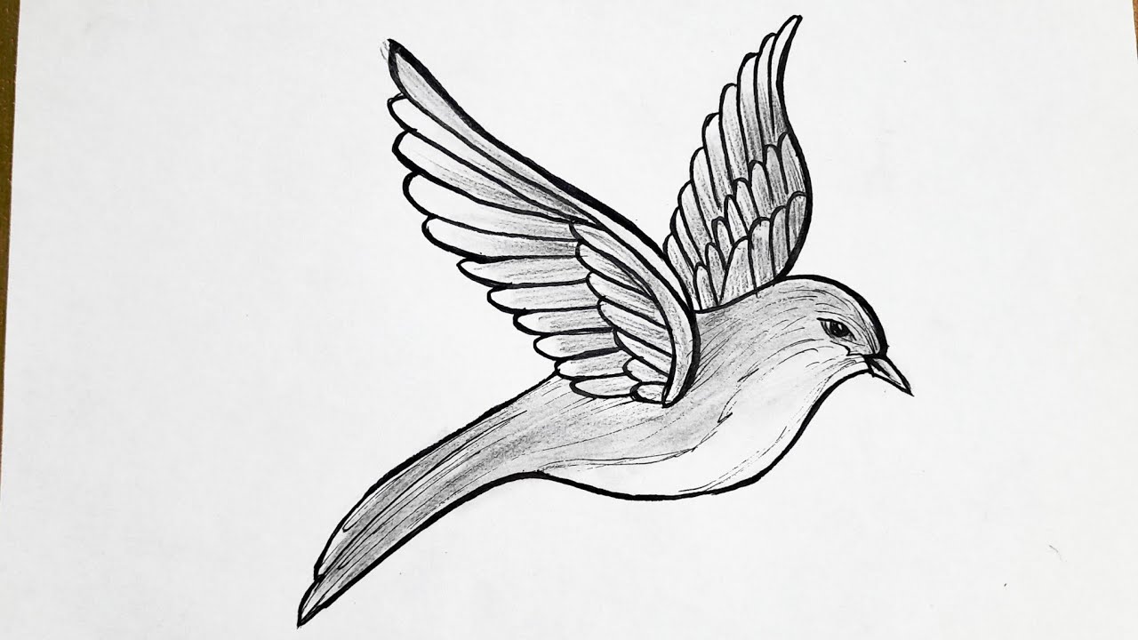 How To Draw A Bird Easy Simple Bird Drawing Youtube