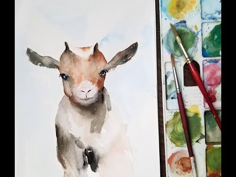 Watercolor Baby Goat Demonstration Youtube