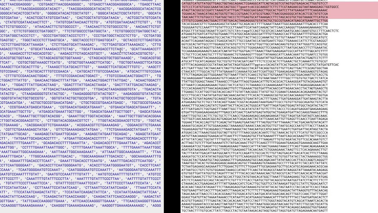 Python Script For Dna Analysis Version 7 4 Youtube