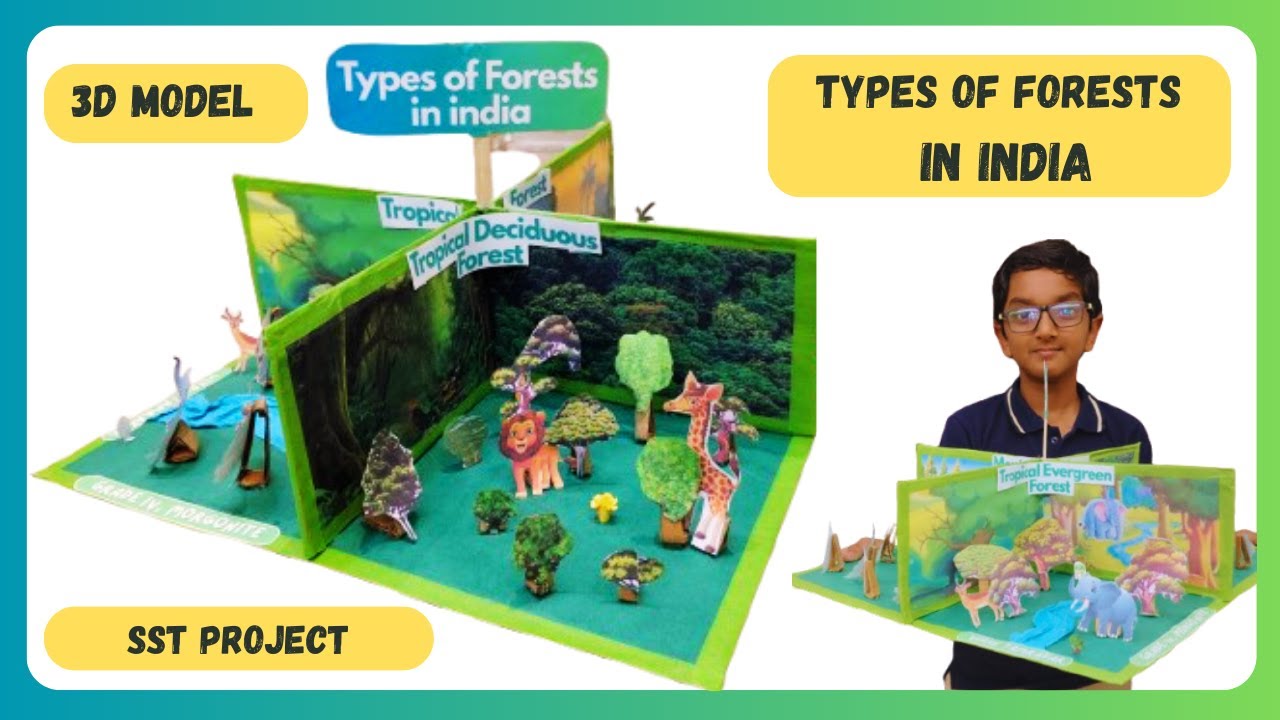 Types Of Forest 3d Project How To Make Forest Model Model On