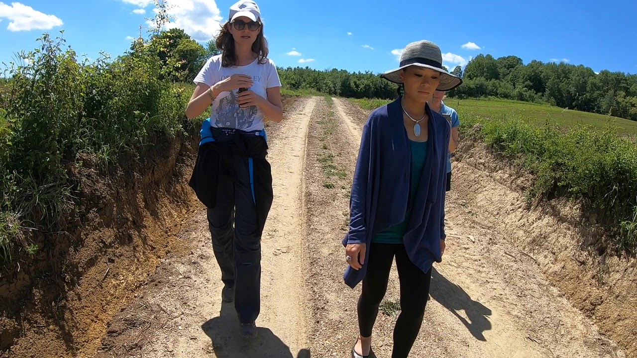 Taking A Walk With Ivana Youtube