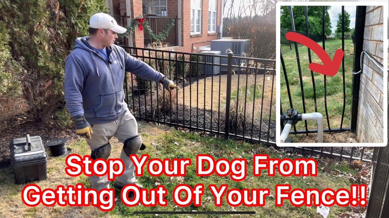 Stop Dog Digging Under Fence Bunnings At Tammy Jackson Blog