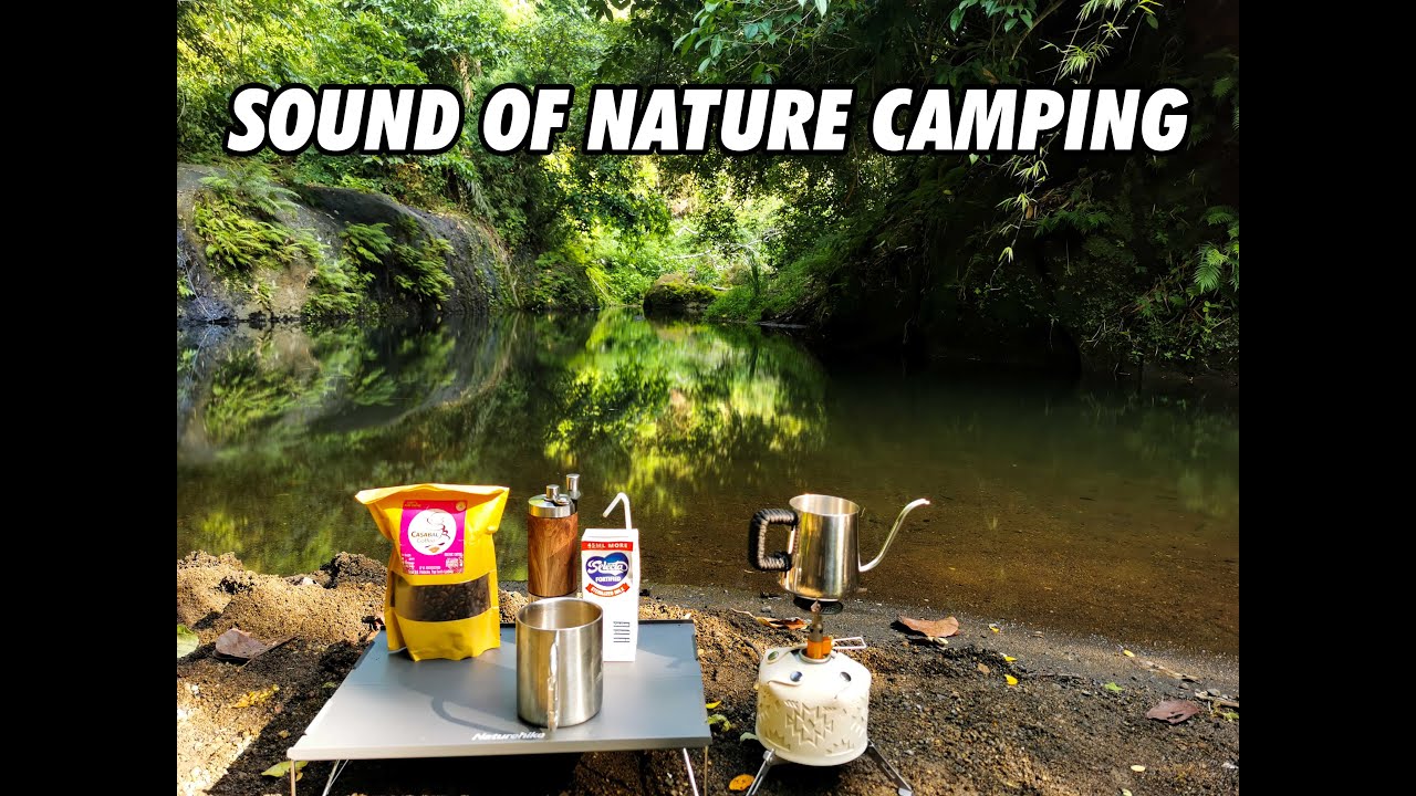 Solo Camping â Alone In The Woods â Sound Of Natureâ Asmr â Creepy Forest