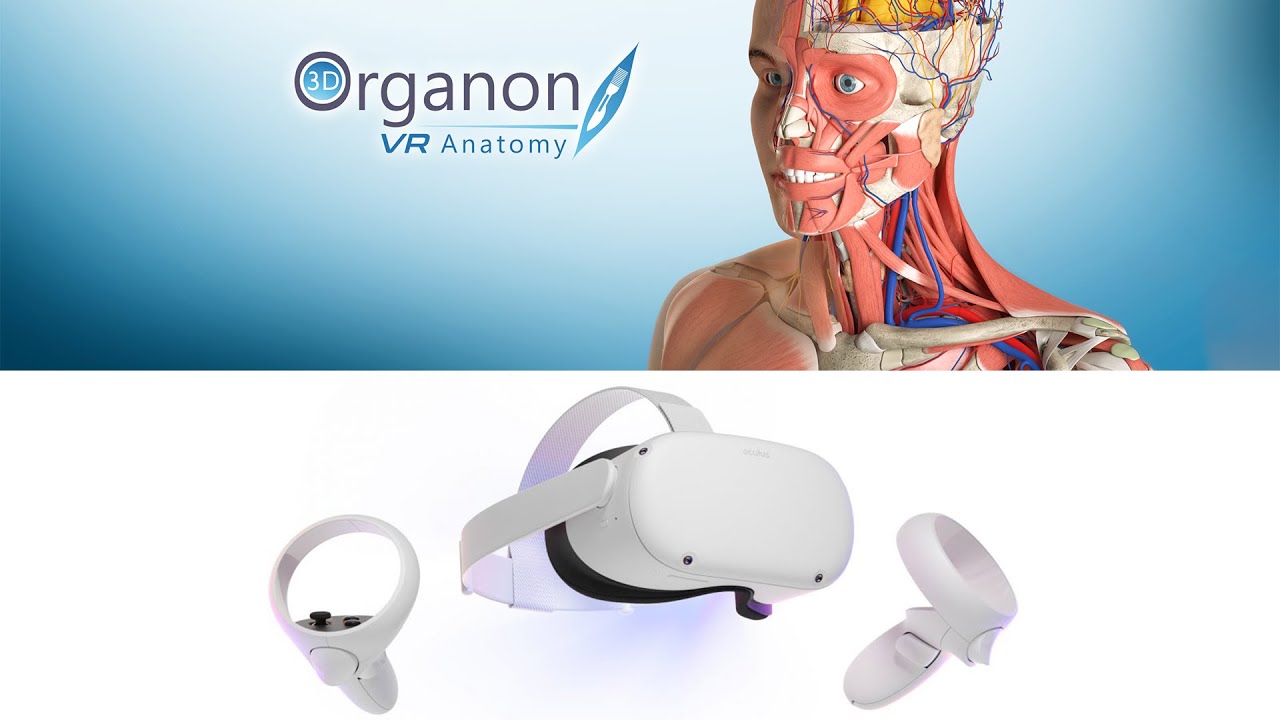 3d Organon Vr Anatomy On Oculus Quest 2 Youtube