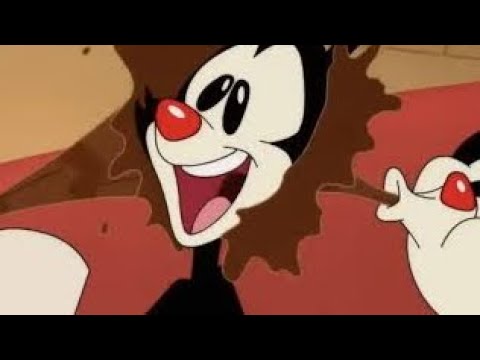 Yakko Warner Edit Capcut Youtube
