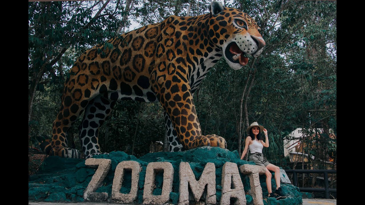 Zoomat Zoológico Miguel álvarez Del Toro En Chiapas Youtube
