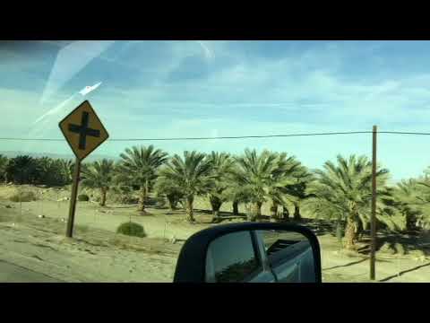 Driving Debra Joy Youtube