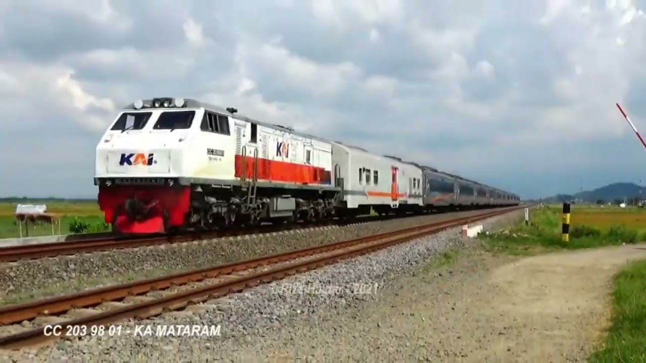 Cinematic Cc203 Youtube