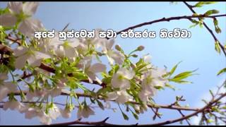 Environment Song පර සර ග ය Kathmina Gayantha Mp3 Music & Mp4 video ...