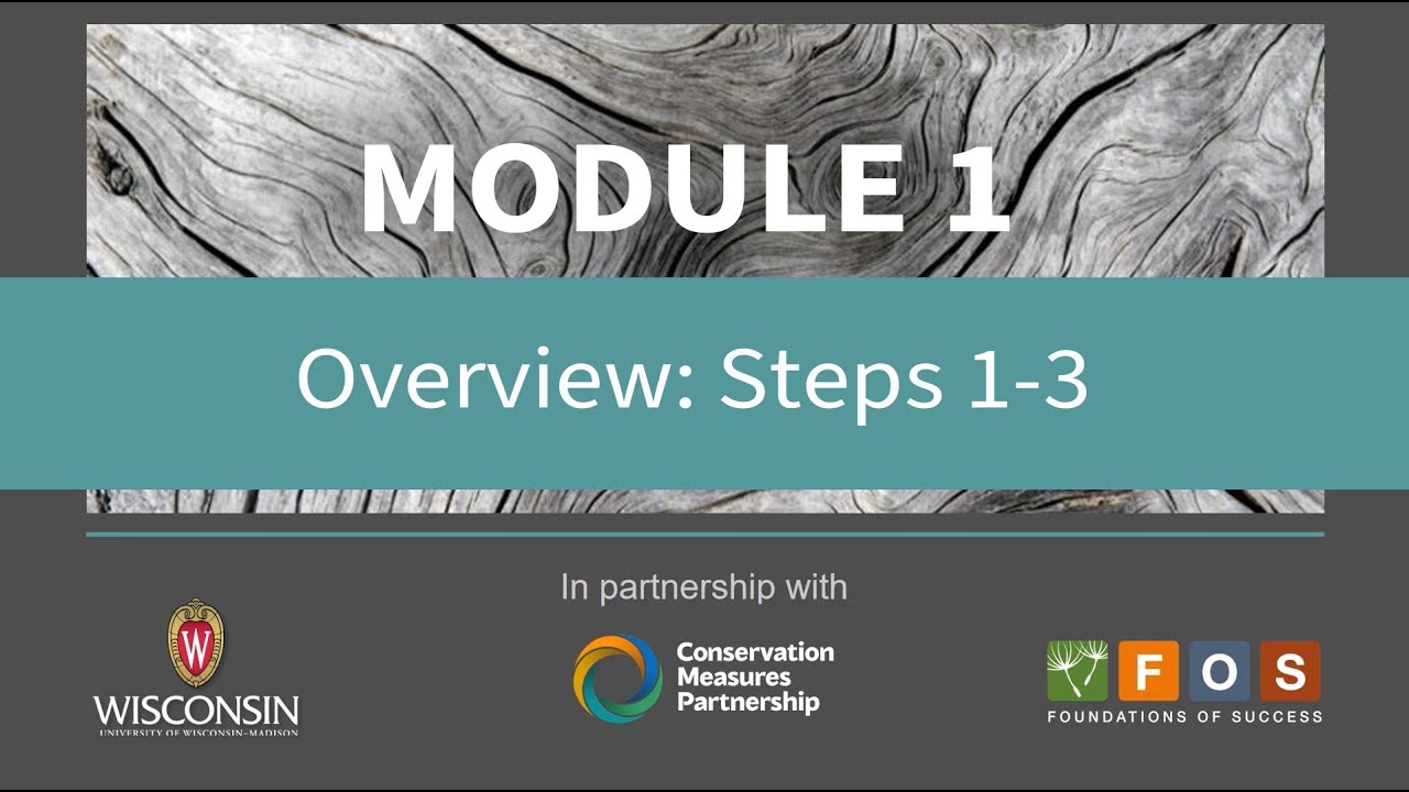 Module 1 Overview Steps 1 3 Cs Step 4 Online Course Youtube