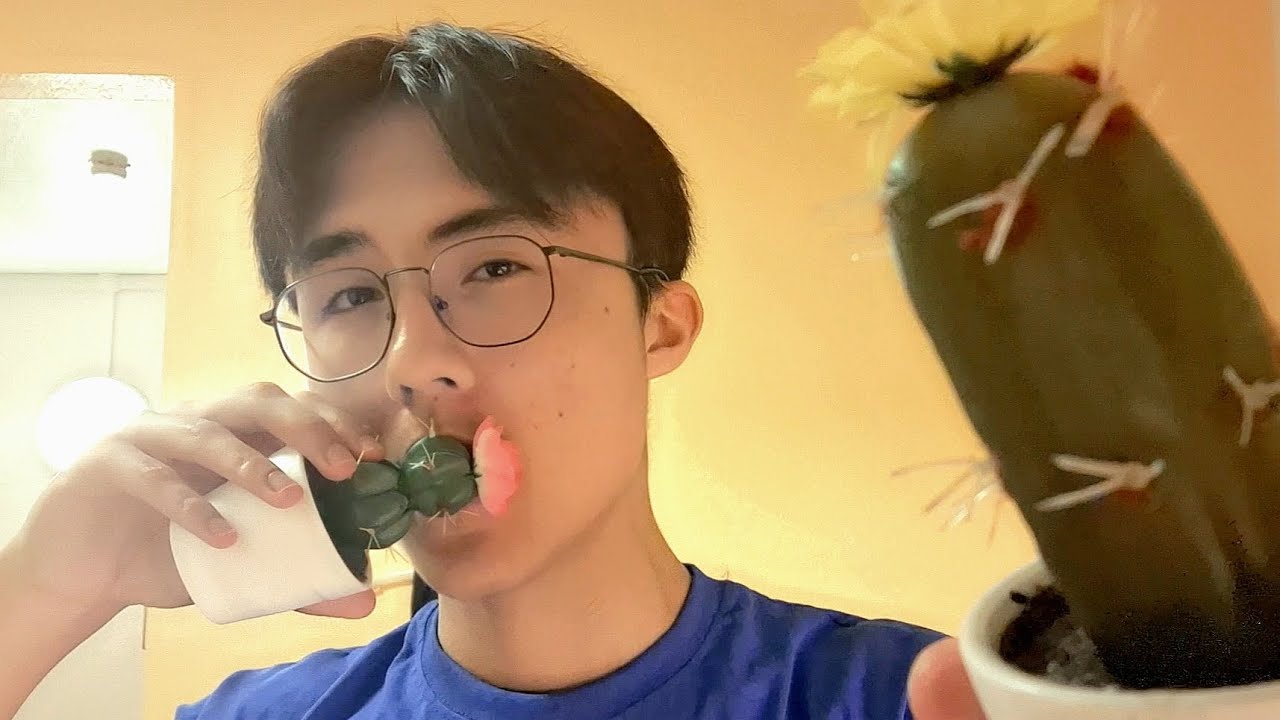 Asmr Fast And Agressive Triggers Lofi Youtube