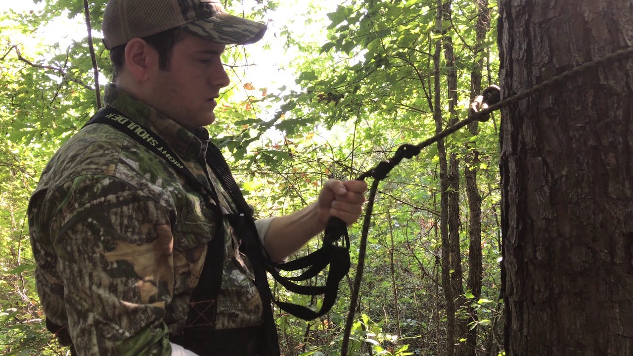 How To Tie Tree Straps At Kate Terry Blog