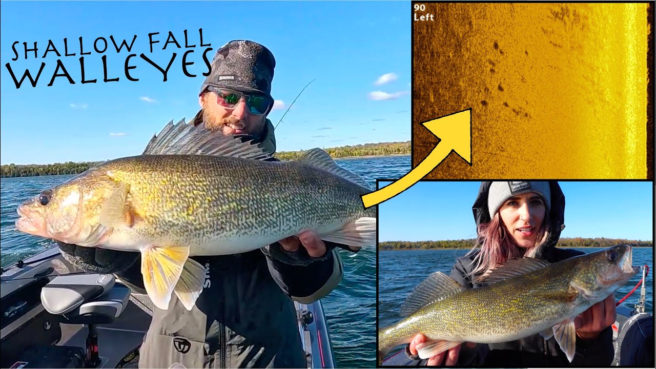 The Best Way To Catch A Ton Of Shallow Fall Walleyes Youtube