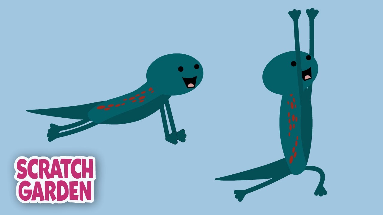 Salamander Yoga Now With Tiny Flying Alligators 5 Minute Yoga