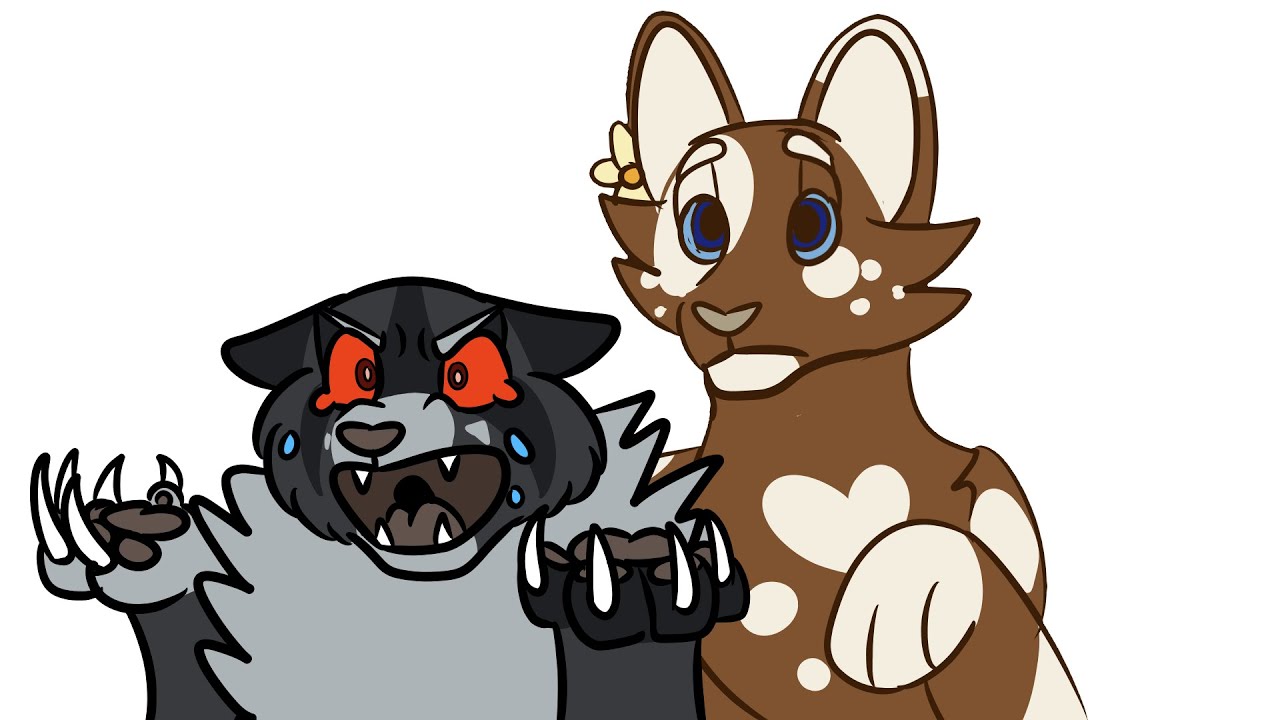 Mothwing The Shadowclan Cat Youtube