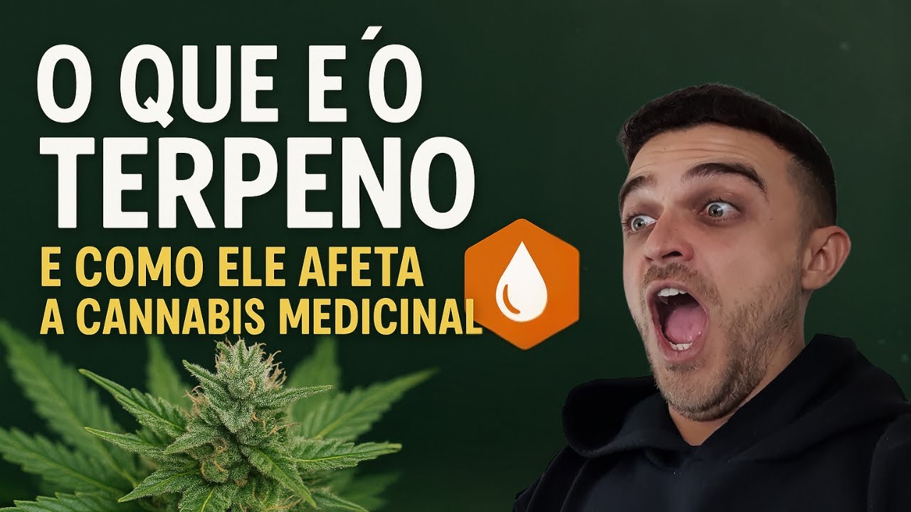 O Que é O Terpeno E Como Ele Afeta A Cannabis Medicinal Youtube