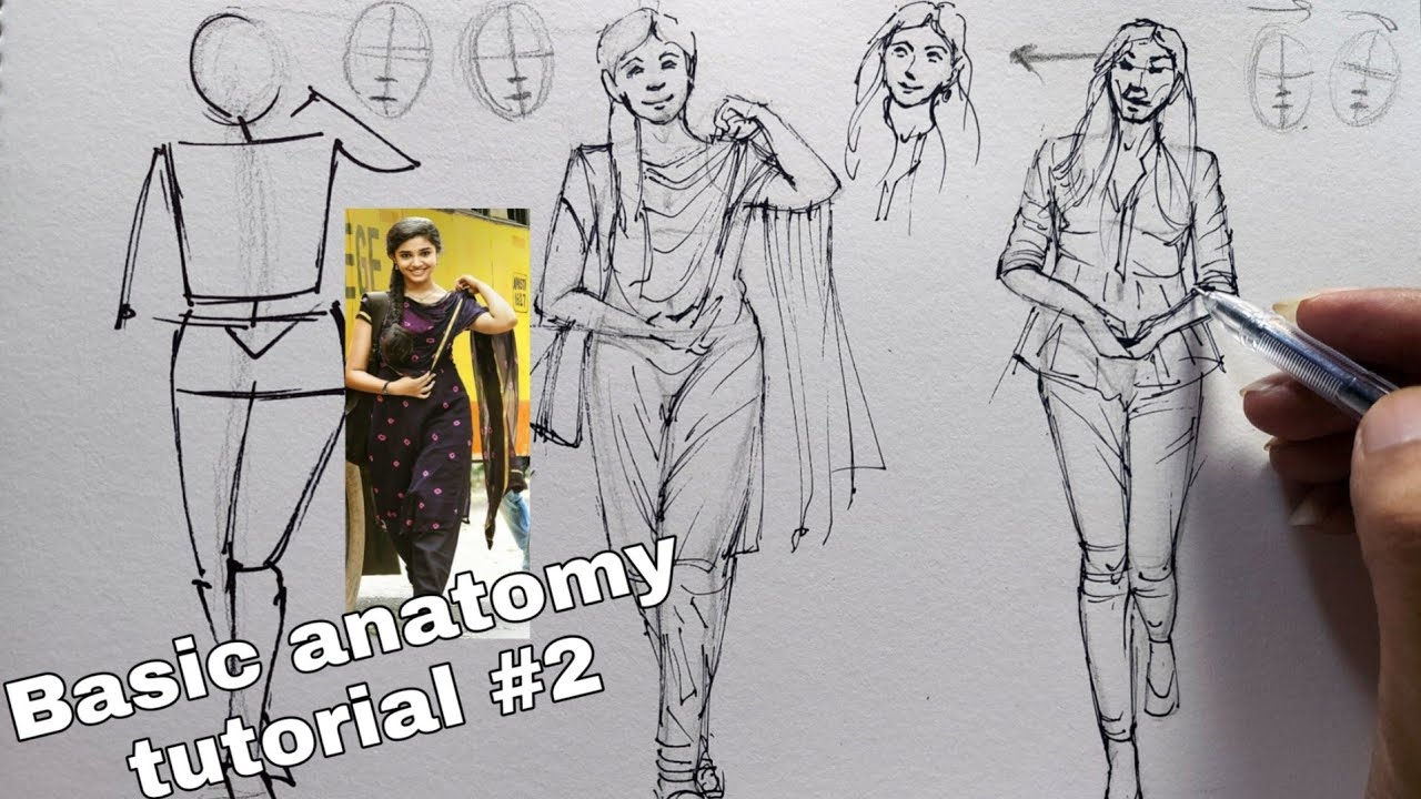 Basic Anatomy Tutorial Part 2 Youtube