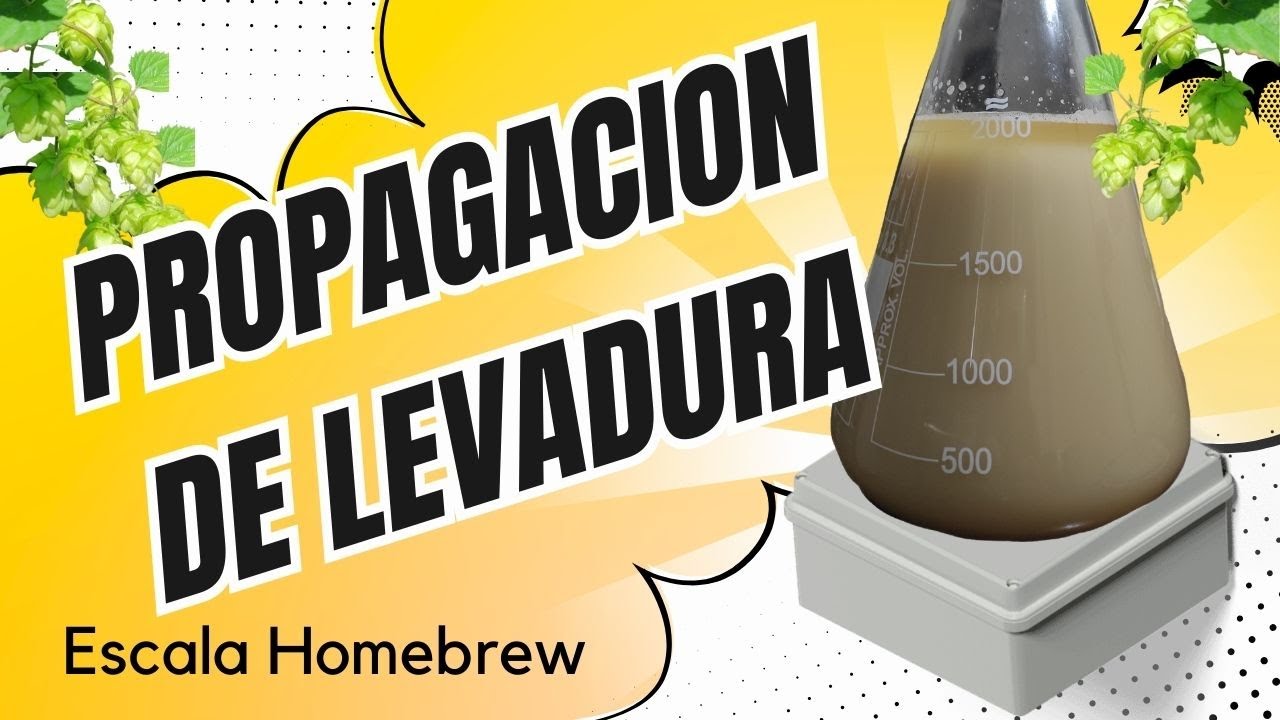 Como Propagar Levadura Cerveza Artesanal Saga Youtube