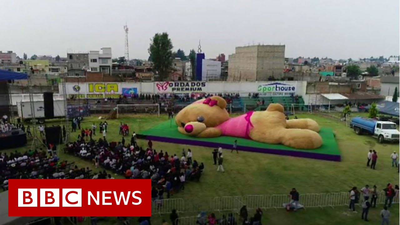 Giant Teddy Breaks World Record Bbc News Youtube