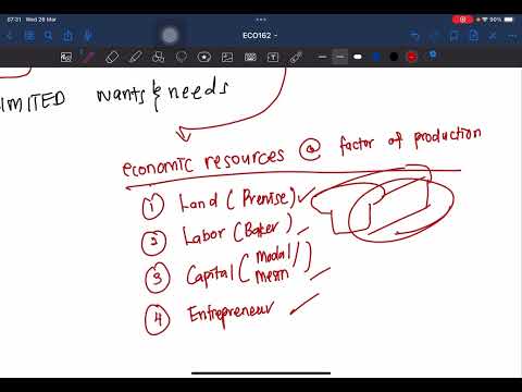 Introduction To Economics Youtube