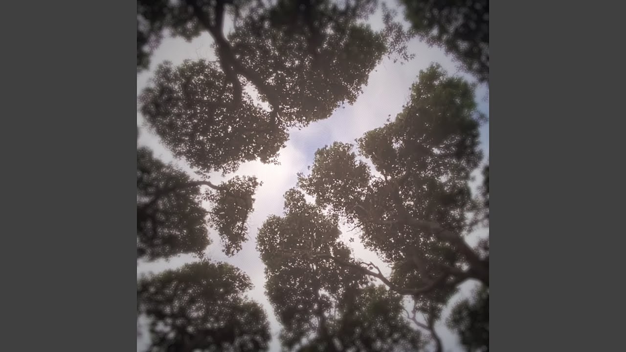Patterns Youtube