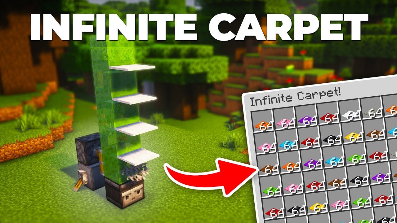 Carpet Duper In Minecraft 1 21 8 Duplication Glitch Minecraft