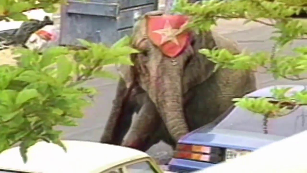 Tyke The Elephant S Last Day On Earth Youtube
