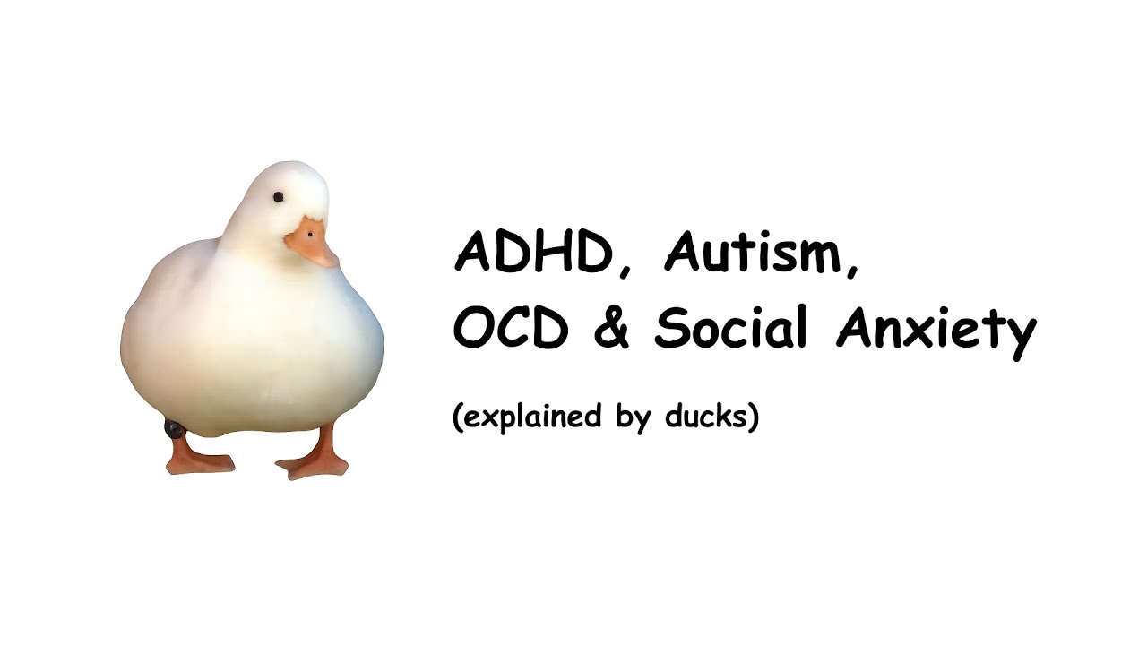Adhd Autism Ocd Social Anxiety Explained By Ducks Youtube